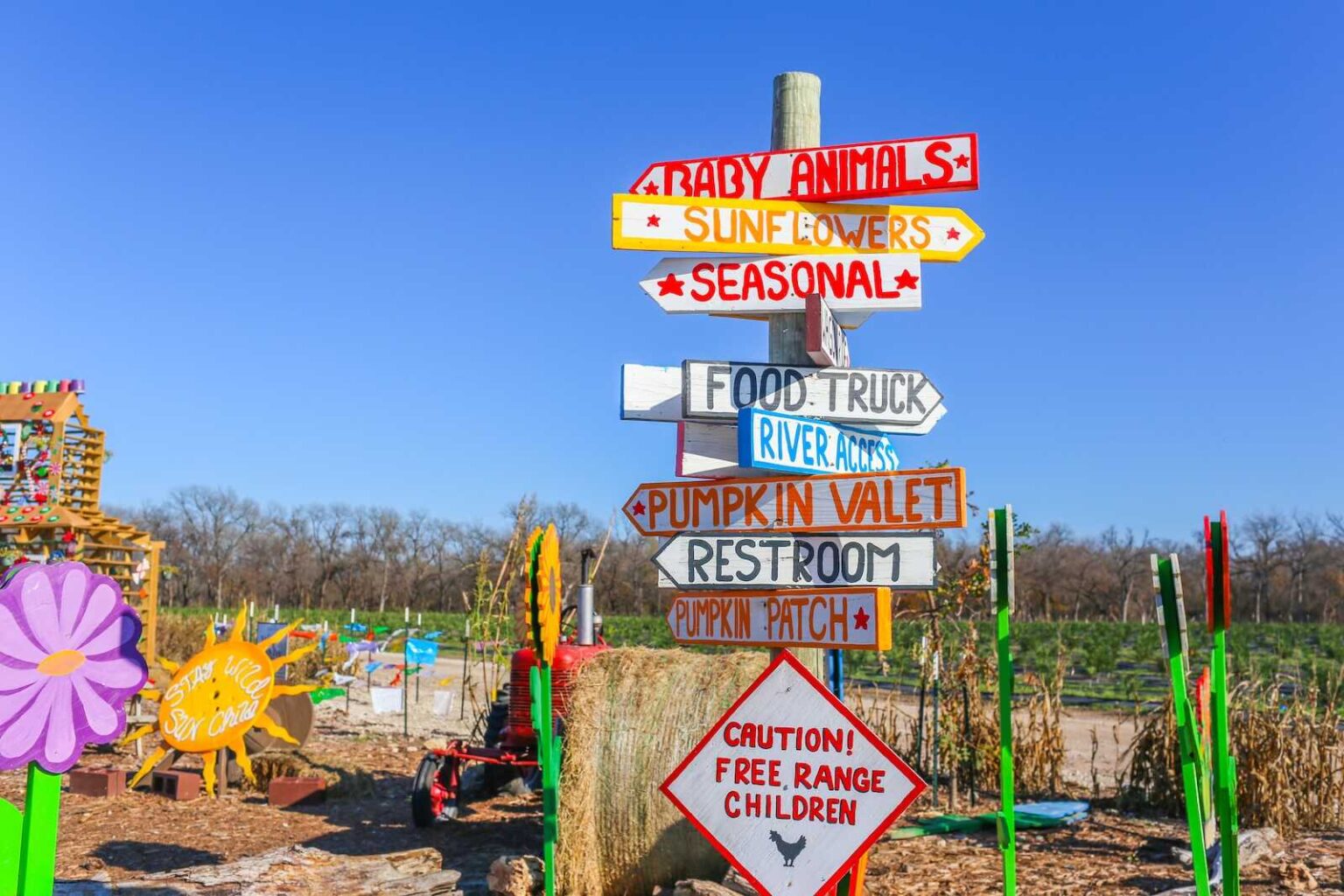 Sweet Eats Adventure Farm & Petting Zoo in Georgetown - Year Round ...